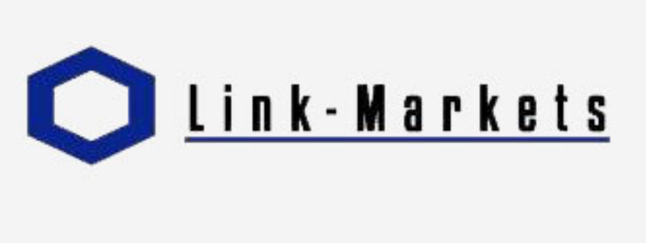 Link Markets Erfahrungen (link-markets.com) - Professionell Test
